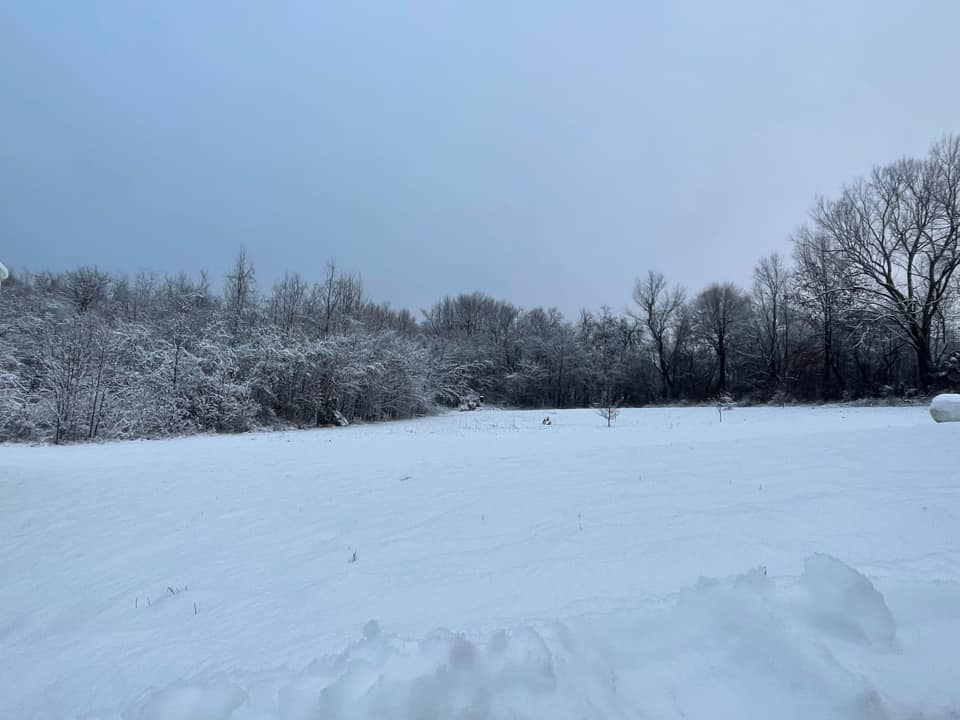 Summary of the January 24-25, 2023 snow event